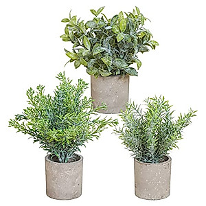 VaryFloral 3 Packs Small Fake Plants Artificial Potted Plants Set Realistic Eucalyptus Rosemary Mini Faux Greenery Potted Artificial Plants for Decoration for Home Décor Shelf Table Bathroom Indoor