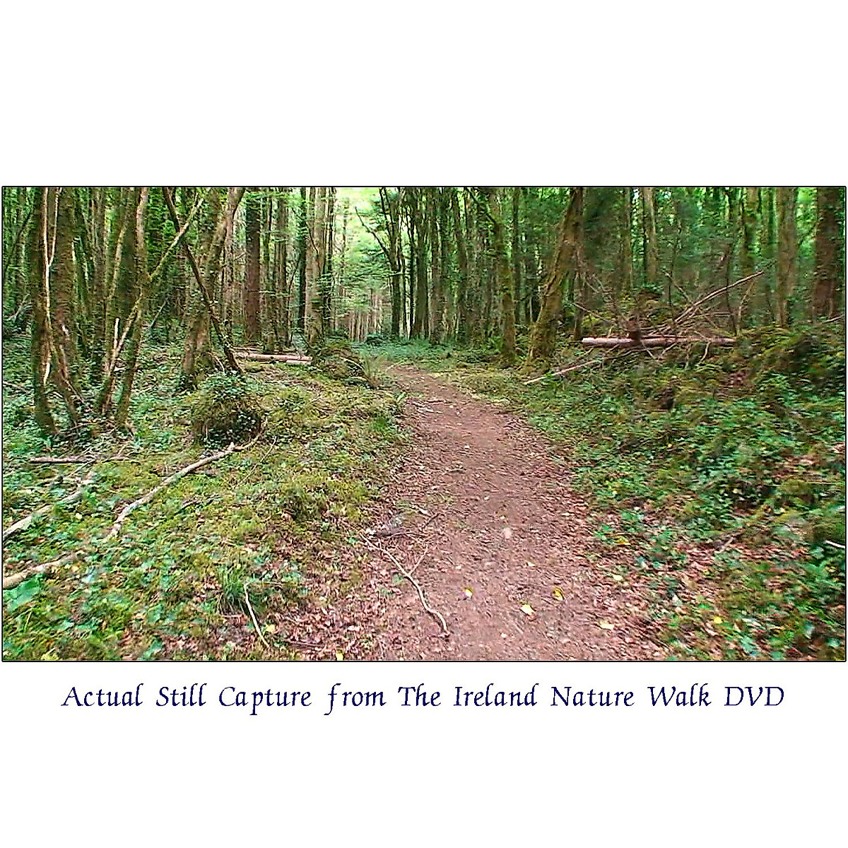 Ireland Nature Walk Treadmill Scenery DVD