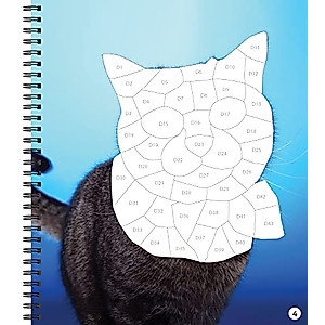 Brain Games - Sticker by Number: Cat-itude
