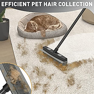 Sunally Rubber Broom Pet Hair Remover, Fur Remover Broom with Squeegee for Fluff Carpet, Hardwood Floor, Tile, Window, Black Grey, Includes Portable Lint Remover Brush and Broom Holder