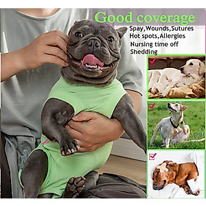 Wabdhaly Dog Surgery Recovery Suit for Female Spay,Puppy Surgical Recovery Zip Up Suit,Anti-Licking Bodysuit for Abdominal Wounds,Cone Alternative Recovery Blank Suit for Dogs