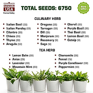 Set of 25 Medicinal Herbs and Herbal Tea Garden Seed Collection - Assorted Culinary Herb Seeds Variety Pack Including Lavender, Chamomile, Thyme, Oregano, Marjoram, and More