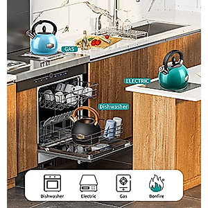 VICALINA Tea Kettle & Tea Pot, Stainless Steel Tea Kettle for Stove top, 2.64 Quart Whistling Loud Tea Kettles (Polished Black)