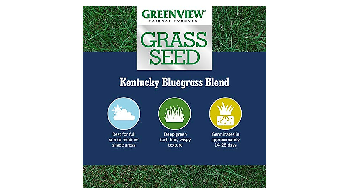 GreenView Fairway Formula Grass Seed - 3 lb. Kentucky Blend