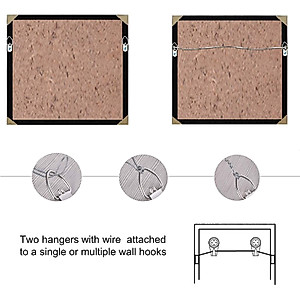 Vinyl Coated Picture Hanging Wire #6 50-Feet Braided Picture Wire Heavy,Supports up to 60lbs for Photo Frame Picture,Artwork,Mirror Hanging(2mm x 15 Meters)