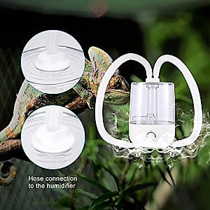 Reptile Fogger Terrariums Humidifier, Adjustable 4L 2 Hoses Reptile Fogger Terrariums Humidifier Fog Machine,No Noise Mist Making Machine for Reptiles/Amphibians/Herps/Vivarium (white).