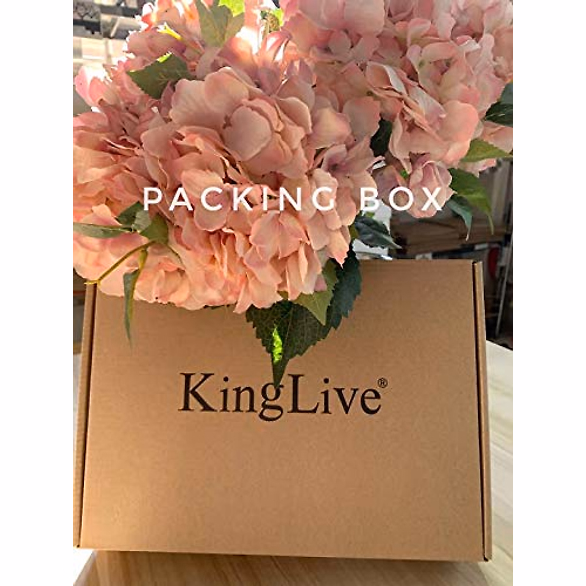 Zombies Attack Key Hook for Wall,Black Wooden Cat Key Holder with 5 Metal, Install by Strong Adhesive Sticker or Nail,Wall Décor for Entryway,Gift.(A1)