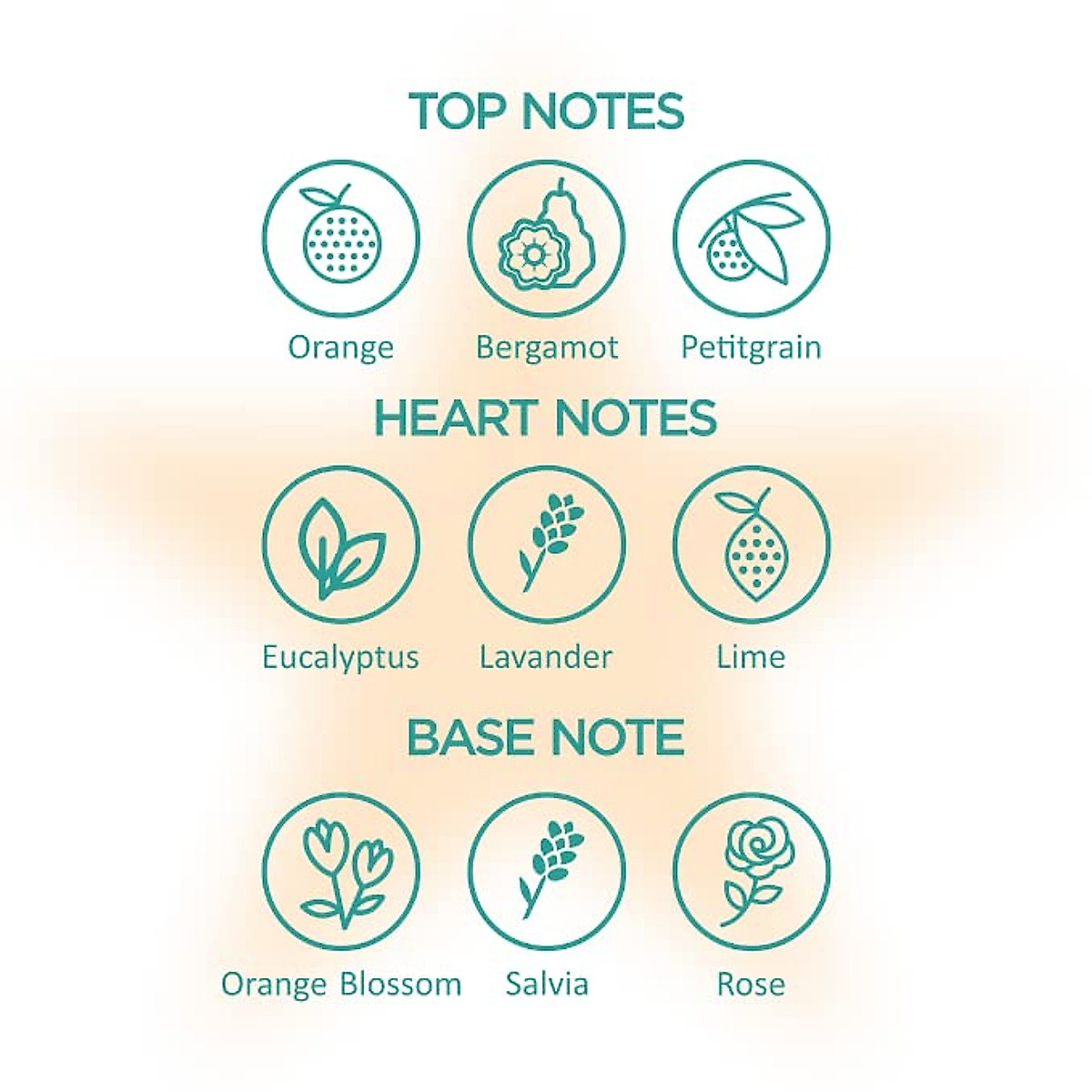 Boiess All day Allstars Vegan Eau de Cologne Orange Crush | Fresh Citrus Orange Scent | Made With Natural & Essential Oils For Kids & Adults | Children Fragrance For Sensitive Skin | Size: 8.45 Fl Oz