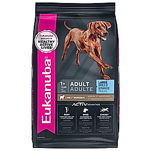 Eukanuba Adult Large Breed Lamb 1st Ingredient Dry Dog Food, 15 lb