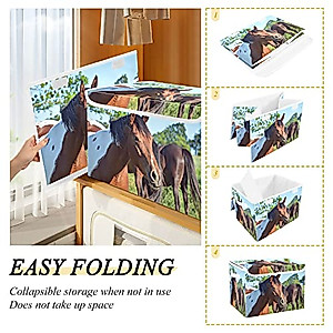 Kigai Storage Basket Funny Horse Storage Boxes with Lids and Handle, Large Storage Cube Bin Collapsible for Shelves Closet Bedroom Living Room, 16.5x12.6x11.8 In