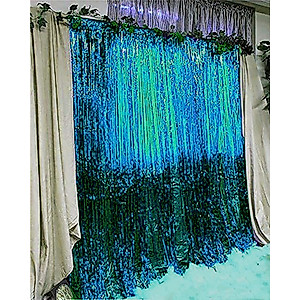 Dr Cat in The Hat Birthday Party Decorations/Thing 1 Thing 2 Party Decorations Dr. Baby Shower Decorations/Nurse Graduation Deorations/Blue Red Fringe Foil Curtains 4pcs