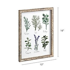 Barnyard Designs Kitchen Herbs and Spices Wall Art Decor Botanical Print Sign Rustic Country Farmhouse Wood Plaque Framed Home Wall Decor 12" x 16"
