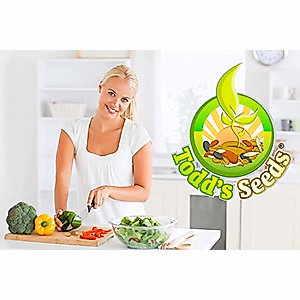 Todd's Seeds Sprouting Seed Mix; Broccoli, Radish, Alfalfa, Non-GMO, Chemical Free, High Germination (1/4 Pound)