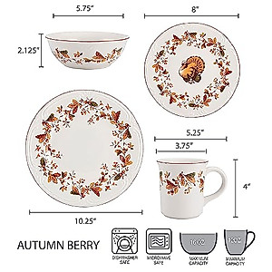 Pfaltzgraff Autumn Berry 16 Piece Dinnerware Set, Service for 4, Multi Colored