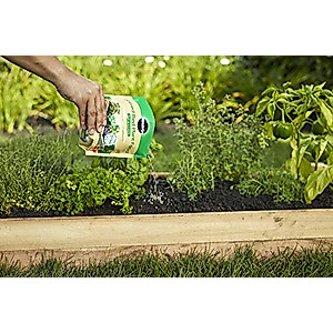 Miracle-Gro Raised Bed Plant Food, 2-Pound
