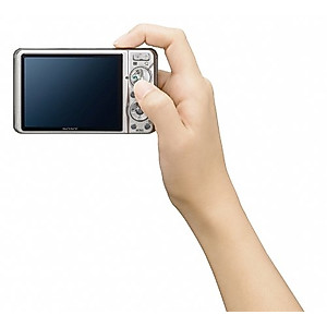 Sony Cyber-shot DSC-W290 12.1 MP Digital Camera with 5x Optical Zoom and Super Steady Shot Image Stabilization (Silver)