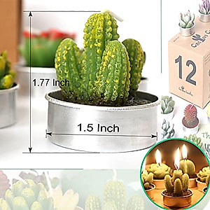 AIXIANG 12Pcs Cactus Candles Succulent Candles, Wedding Party Favors for Guests, Bridal Shower Candles Favors, Housewarming Favor, Baby Succulents Favors Baby Shower, Christmas Gifts