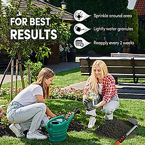 Repellex 20021 Systemic Granular Animal Repellent, Cranbery