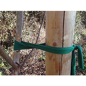 Biostretch Extra Wide Tree Ties and Large Plant String | Environmentally Smart Soft Green Plant Support and Garden Twine (Bio Extra Wide 26 ft / 8M)