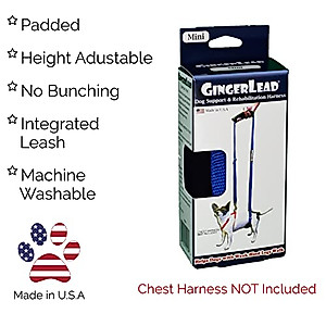 GINGERLEAD Dog Sling Hip Support Harness, X-Small Fits Little Pets Under 25 lbs and Dachshunds with IVDD, Spinal Disc Disease, or Back Injuries. Assist Elderly, Paralyzed, or Recovering Pets.