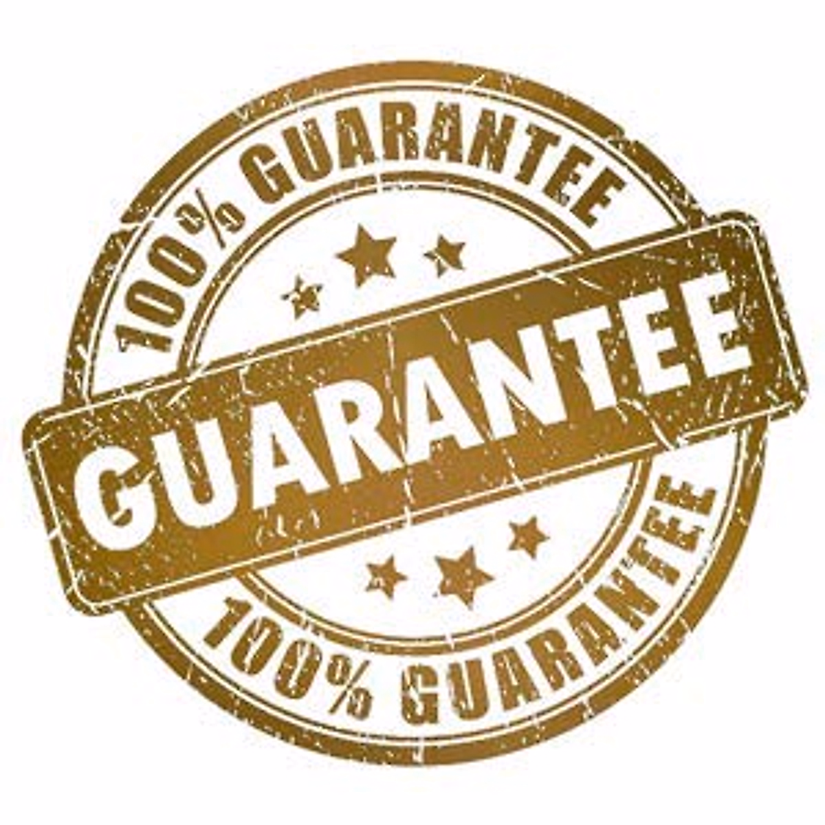 dog digestive health - DOG DIGESTIVE AID PROBIOTICS - NATURAL APPROACH - SOLUTION TO BAD BREATH AND GAS - COUNTER DIARRHEA - dog probiotics bone - 2 Bottles (120 Treats)