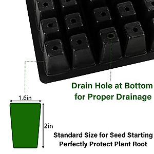 winemana 5 Set Seed Starter Trays with Humidity Dome, 200 Cell Grow Trays Seedlings Plant Staring Trays with Labels, Garden Propagator Set, Mini Greenhouse Germination Kit for Seed Growing