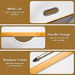 Large Laundry Basket with Lid - 100L Tall Laundry Basket Organizer, Foldable Dirty Clothes Hamper with Handles, Collapsible Laundry Hamper with Waterproof Removable Bag for Bedroom