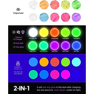 Fantastory Glow in The Dark Paint, 60ml/2oz Neon Glow Acrylic Paints, 2IN1 Paint,Charge-Glow& UV Activated For Outdoor Rocks, DIY Craft,Canvas,Holiday Decor,Christmas,Kids,Adults