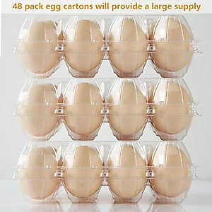 Plastic Egg Cartons Bulk, 48 Packs Empty Clear Plastic Egg Carton Holds Up to 12 Eggs, Reusable Chicken Egg Tray Holders for Family Pasture Chicken Farm, Business Market Display,