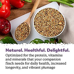 Dr. Harvey's Fabulous Finch Food for Outside Feeder and Indoor Birds- Premium Bird Feed with Seeds, Nuts, Fruits, Vegetables for Finches Trial Size (4 Oz)