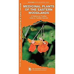 Medicinal Plants of the Eastern Woodlands: A Folding Guide to Familiar Species (Outdoor Recreation and Survival)