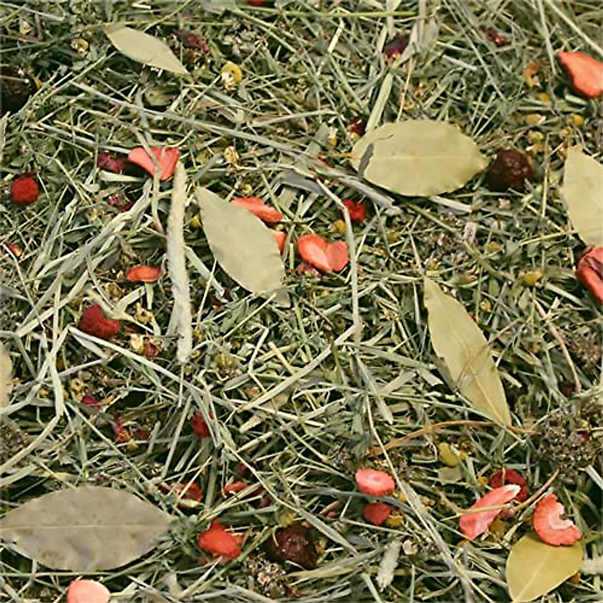 Grandpa's Best Small Pet Salad, Green, 1 Count (Pack of 1)