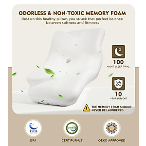 Osteo Cervical Pillow for Neck Pain Relief, Hollow Design Odorless Memory Foam Pillows with Cooling Case, Adjustable Orthopedic Bed Pillow for Sleeping, Contour Support for Side Back Stomach Sleepers