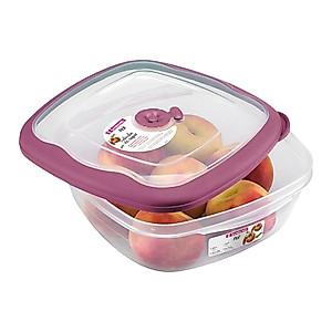 Tribello Plastic Freezer Food Storage Container with Lids Microwave/Dishwasher Safe Steam Vent/Air-Tight Lid Square Large 67 Oz 2-Pack 8.3-Cup