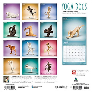Yoga Dogs 2019 Calendar