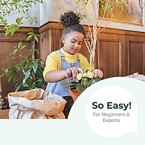 Window Garden Mini Greenhouse Seed Starter Kit – Reusable Seedling Trays - Indoor Germination Tray with Humidity Dome and Soil Pods - Windowsill Seeds Germinator - 30 Cells Starting Trays, 3 Pack