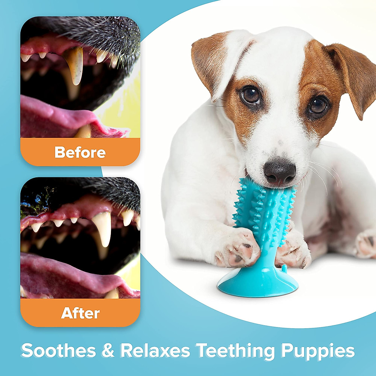 Double Suction Cup Dog Toys Set For Aggressive Chewers 100% Rubber (3 In 1), Teeth Cleaning Toothbrush Toy Stops Plaque & Tarter, Cherry Blossom Waste Bag Dispenser Bonus, Tug Of War Toy For Dog's IQ