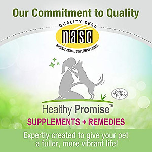 Four Paws Healthy Promise Advanced Formula Hip & Joint Supplement for Dogs Soft Chews 48 Count