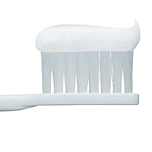 Lion Clinical Advantage Hamigaki Cool Mint Vertical, 5.6 Ounce