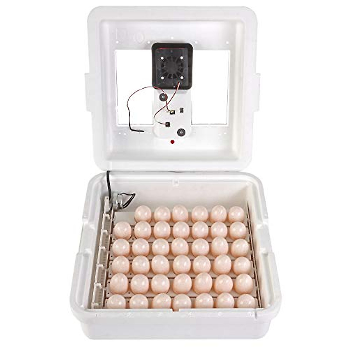 Little Giant® Digital Still Air Incubator | 41 Eggs | Egg Incubator with Temperature and Humidity Control | Chick Incubator