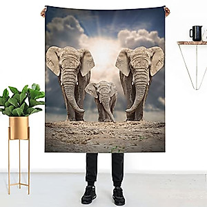 Elephant Blanket 40" x 50" African Wild Animal Family Exotic Super Soft Bedding Fleece Throw Blanket Luxury Bed Blanket Bedroom Living Room Warm Lightweight for Kids Adults