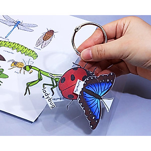 ONLYKXY 2.5x3.7-Inches Transparent Universal Thermal Laminating Sheets Pouches Premium Films for Laminator Machine - Photo Paper Files Card Picture Safe for Office 100Pcs