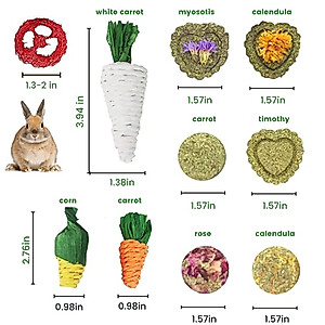 Lacrima Rabbit Chew Toys 12PCS, Bunny Toys for Rabbits, Hamster Guinea Pig Small Animal Chew Toys, Chew Treats and Balls for Rabbit, Bunny, Chinchilla, Guinea Pig, Hamster, Bunny Teeth Care