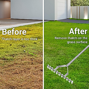 ZZM Thatch Rake, 15.7 Inch Lawn Thatching Rake for Cleaning Dead Grass, Stainless Steel Dethatching Rake with Back-Saving Handle, Grass Rake with Curved Steel Tines for Lawn Loosening Soil, 60" Length
