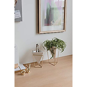 Umbra - 1004372-524 Trigg Desktop Planter Vase & Geometric Container-for Succulent, Air, Mini Cactus, Faux Plants and More, Desk, White/Brass