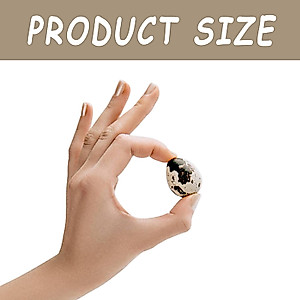 1DFAUL Surprise Quail Egg Pregnancy Announcements, Funny Baby Announcements Ideas Gifts, Quail Eggs Perfect for Grandparents Future Dad, or Friends