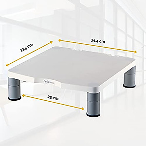 Fellowes Standard Monitor Riser (91712), Platinum/Graphite