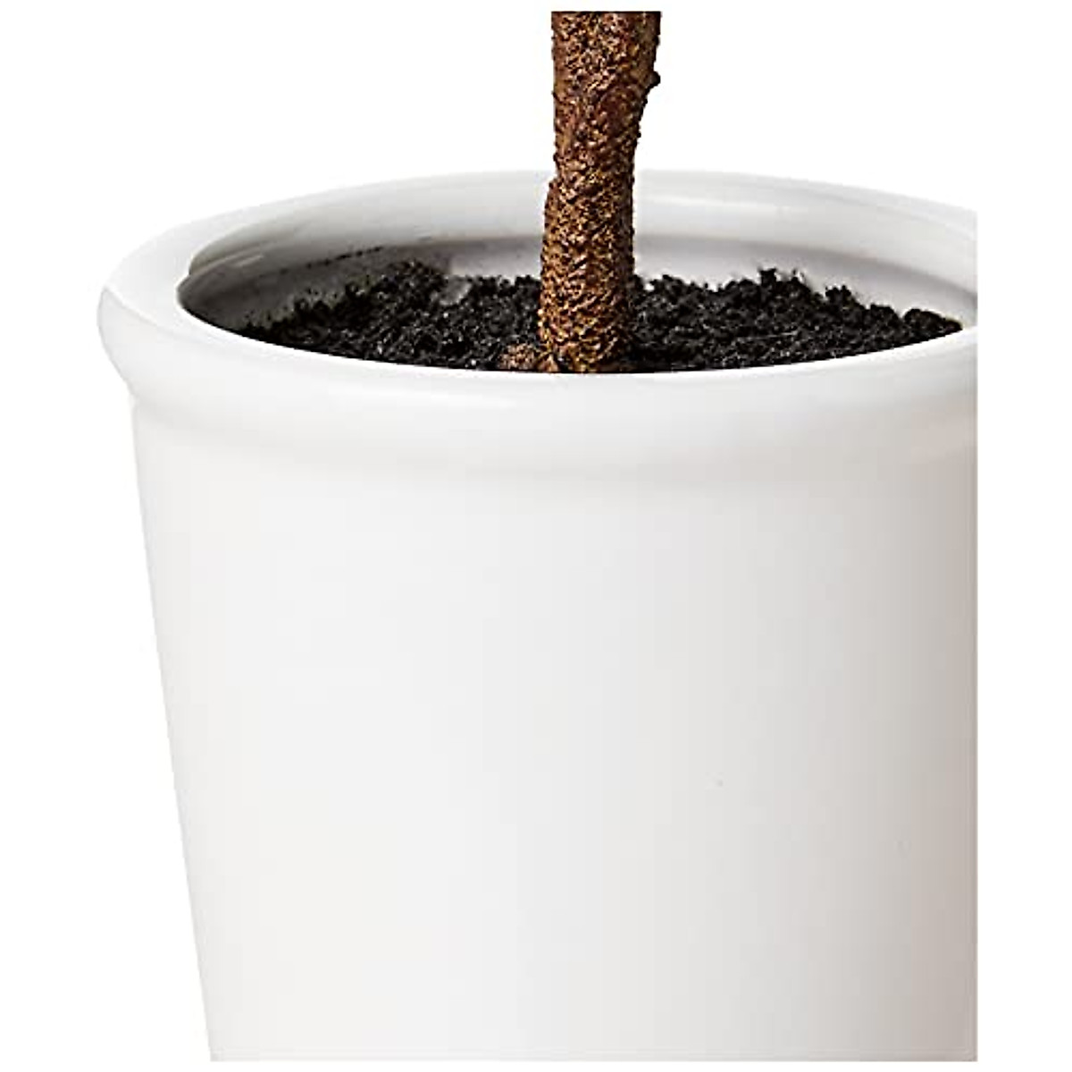 Amazon Brand - Stone & Beam Artificial Lemon Citrus Tree with Ceramic Pot, 2 Feet (24 Inches), Indoor