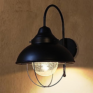 DAKWA Matte Black Finish Wall Lighting Gooseneck Anti-Rust Wall Sconce Outdoor Wall Lantern for Garage,Front Porch,Patio