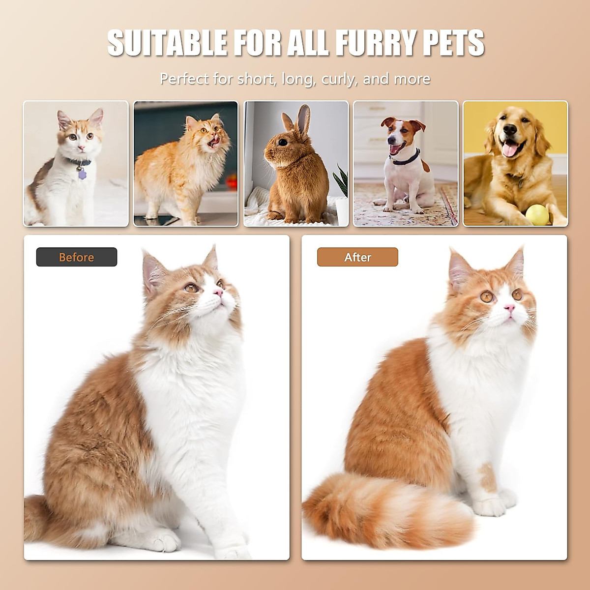 Cloud Care Cat Brush for Indoor Cat Steam Brush for Shedding Spritz Defur Comb for Cats Steam Cat Brush for Long Short Hair Cat Dog Pet Steam Brush for Cats Massage Grooming Self-Cleaning (White)